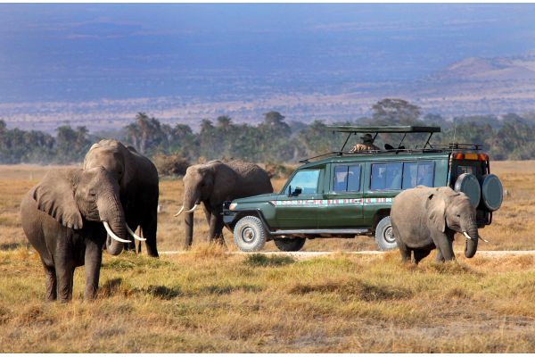 Safaritøj og safarihat