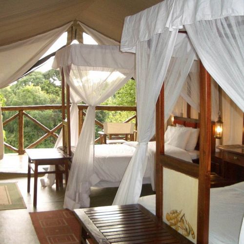 Fig Tree Camp | Safarirejse til Masai Mara i Kenya