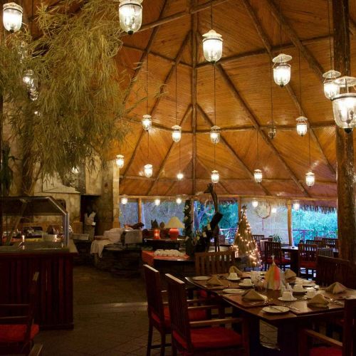 Fig Tree Camp | Safarirejse til Masai Mara i Kenya