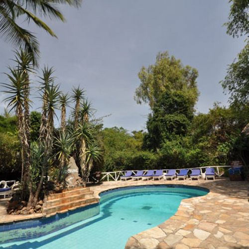 Fig Tree Camp | Safarirejse til Masai Mara i Kenya