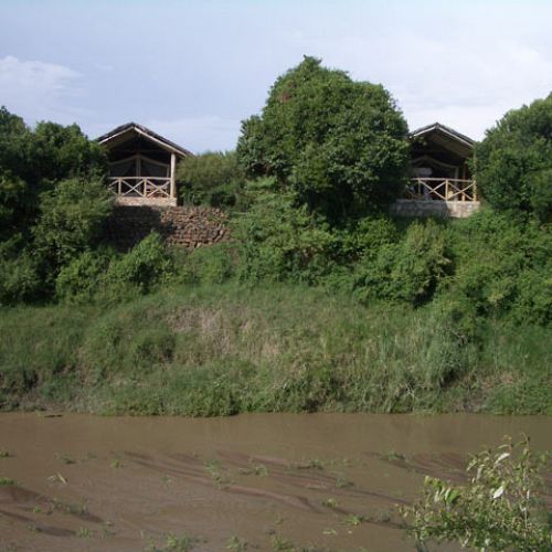 Fig Tree Camp | Safarirejse til Masai Mara i Kenya