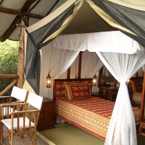 Fig Tree Camp | Safarirejse til Masai Mara i Kenya