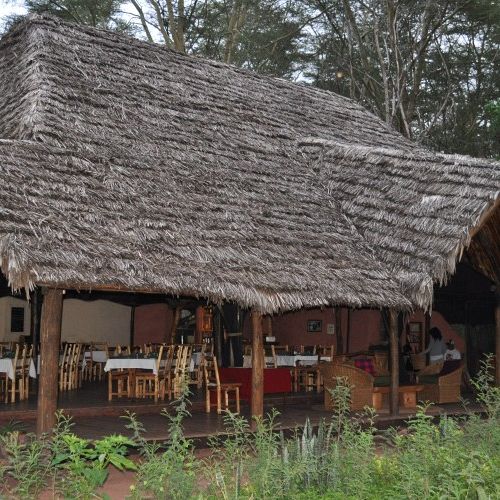 Migunga Forest Camp ved Lake Manyara | Tanzania safari