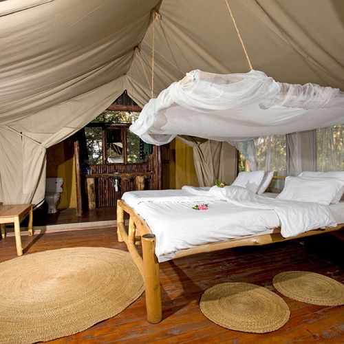 Migunga Forest Camp ved Lake Manyara | Tanzania safari