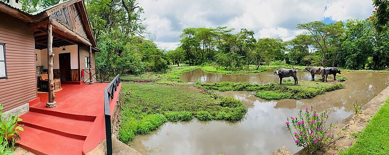 Mount Meru Game Lodge