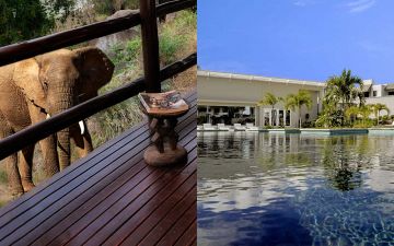 Balule Nature Reserve | Balule Private Reserve | Balule Camp