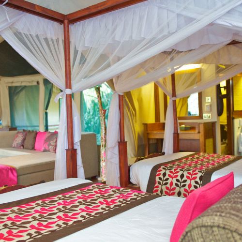 Samburu Intrepids Tented Camp