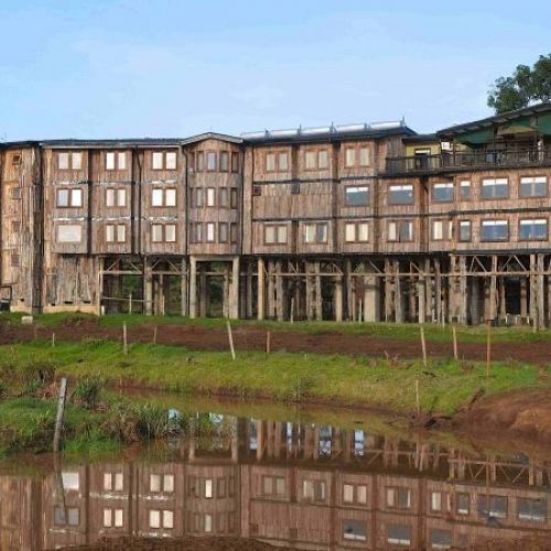 Treetops i Aberdares Nationalparken I Kenya safari